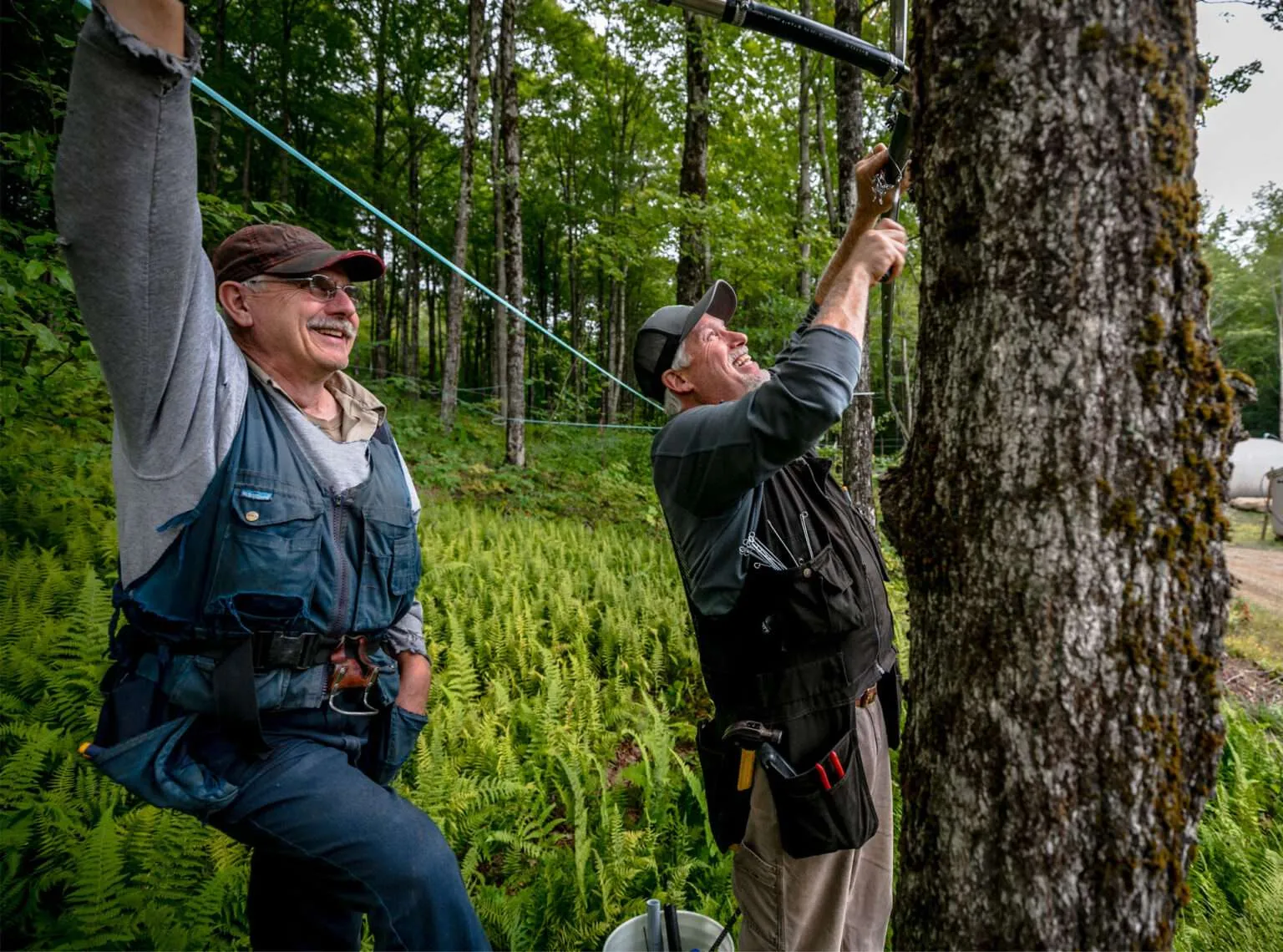 Vermont Maple Syrup - Butternut Mountain Farm
