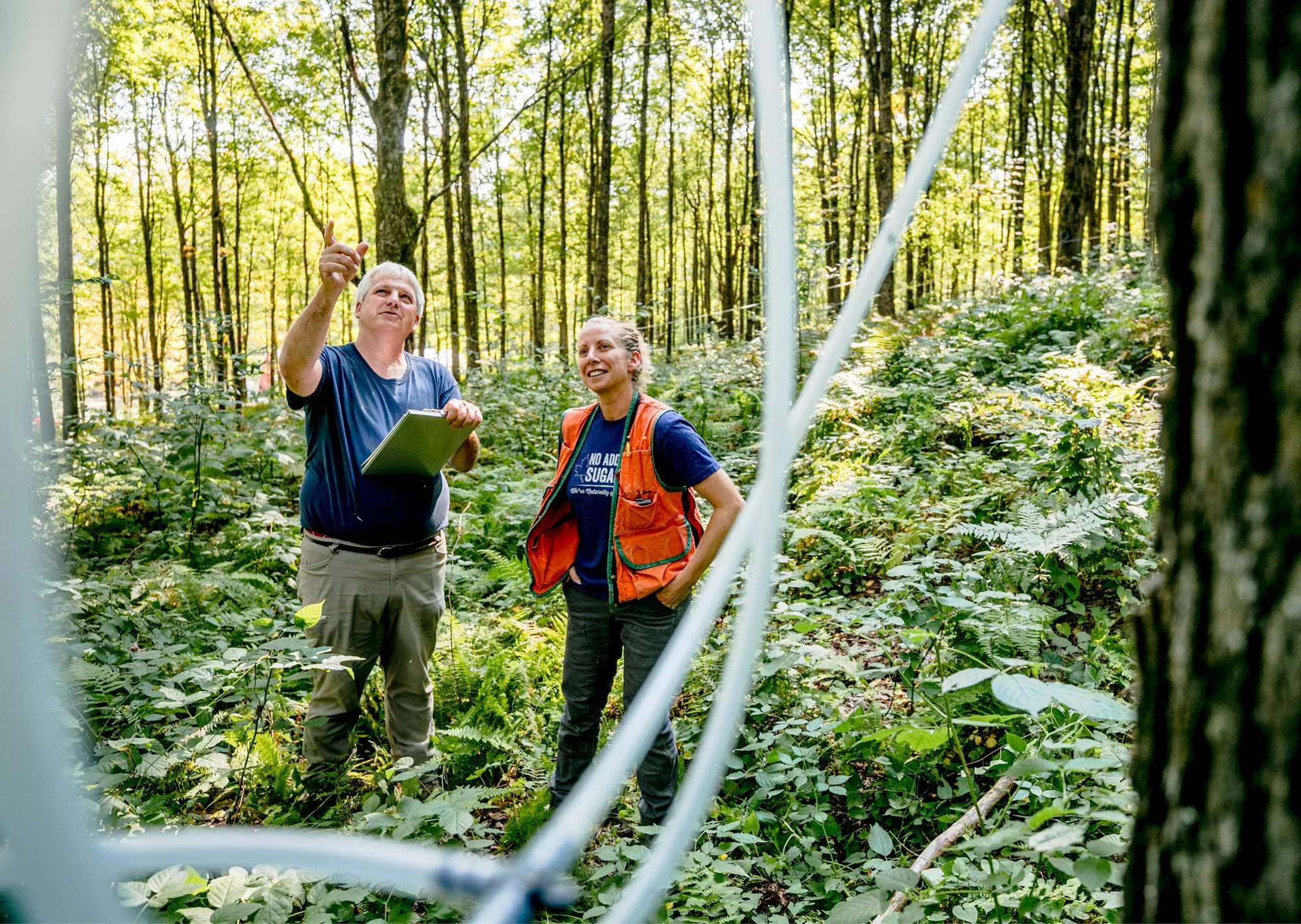 Our History - Butternut Mountain Farm