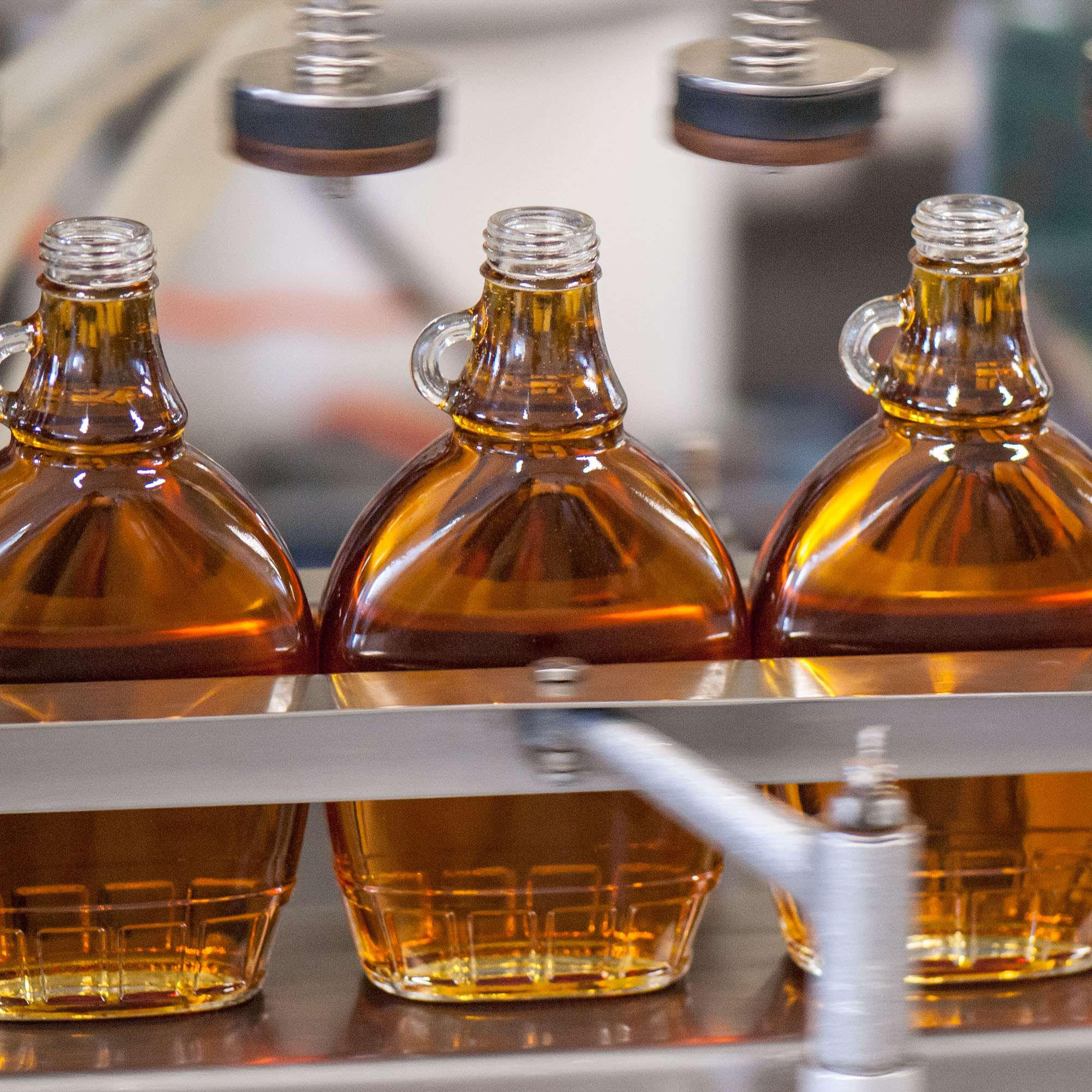 Making Maple Syrup - Butternut Mountain Farm